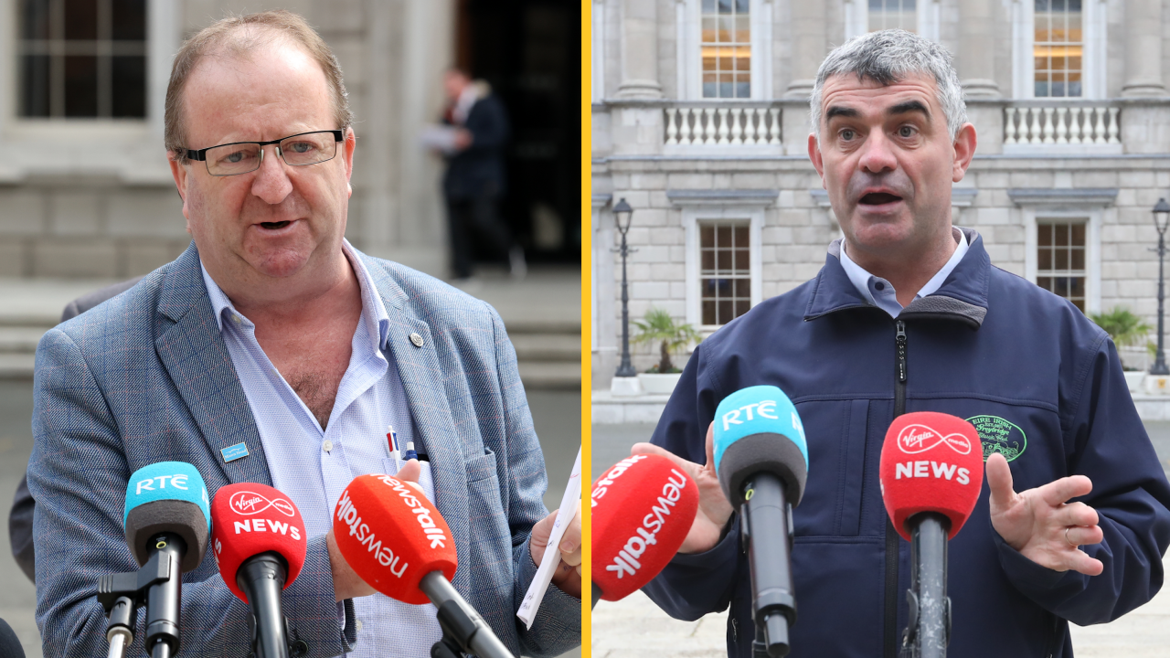 JOE.ie - Two TDs are forming a new Irish political party