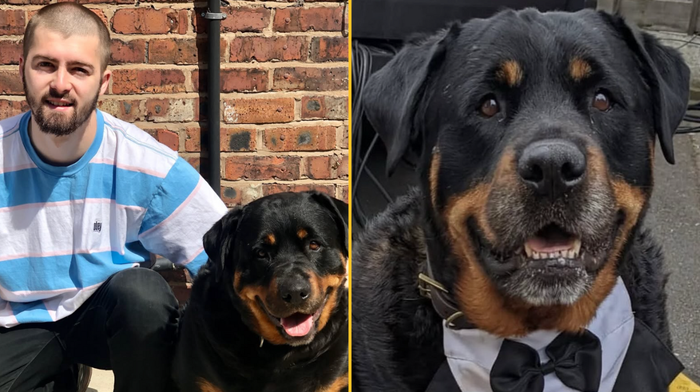 JOE.ie - Gogglebox family announce heartbreaking death as tributes flood in