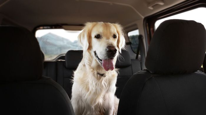 JOE.ie - The 10 indisputably worst flags in the world